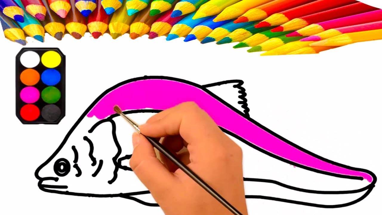 How To Drawing Chital Fish Colouring For Kid||Learning Children||Chitti ...