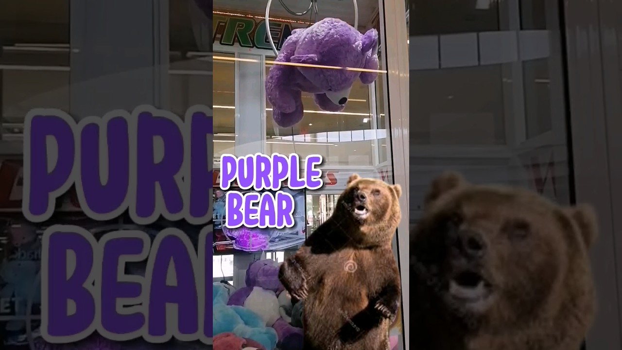 Oso Morado Gigante - YouTube