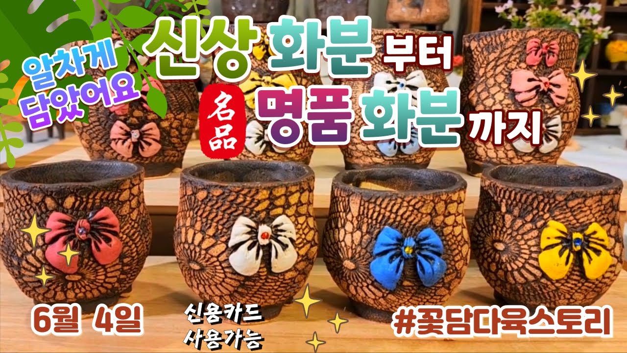 6월 4일 신상화분부터 명품화분까지 알차게 담았어요 화분 꽃담다육스토리 예쁜화분 화분싸게파는곳 다육식물 多肉植物succulents 다육이 꽃담화분