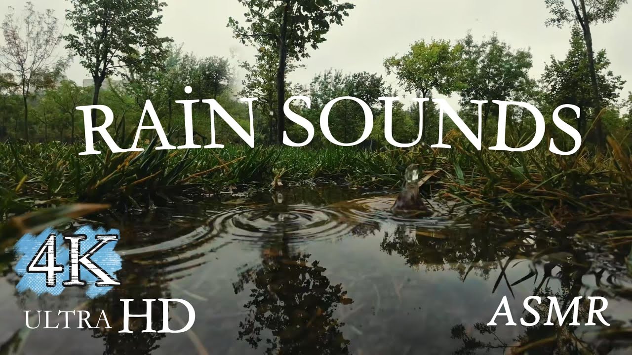 Pure Rain Sounds (1 Hour) • 4K 60FPS • Relaxing Clean Rain Ambience ...