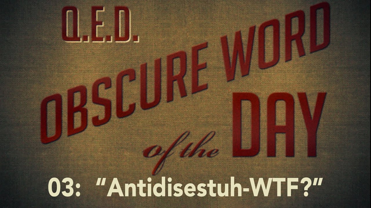 Obscure Word of the Day: 03 Antidisest-uh-WTF? - YouTube