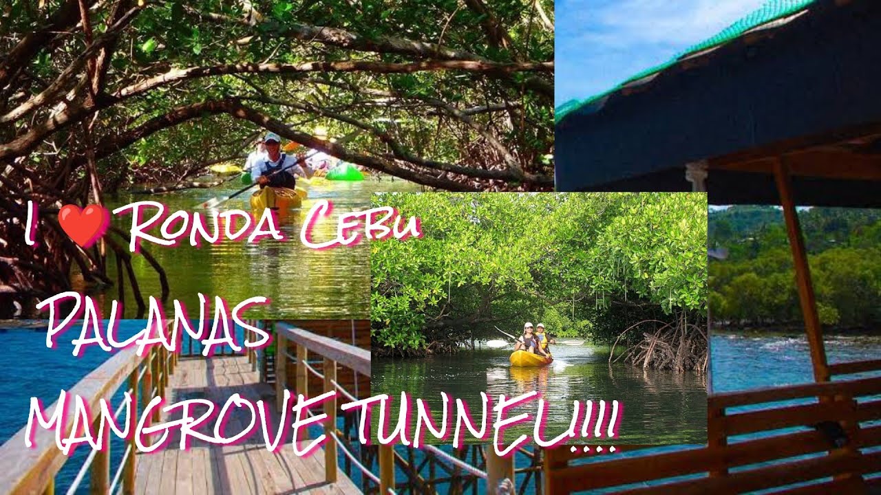 I ️ Ronda Cebu PALANAS MANGROVE TUNNEL!!!! NAKA LAAG NABA KA NGARE ...