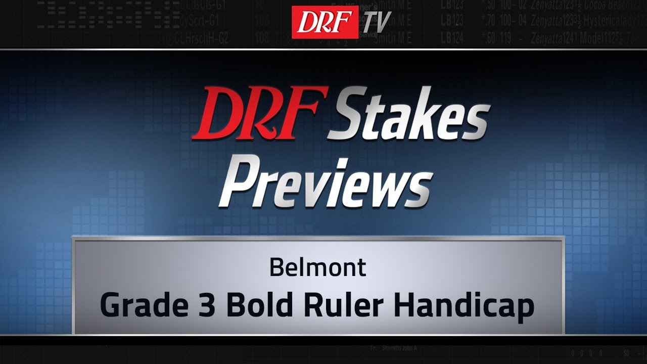 Bold Ruler Handicap Preview 2019 - YouTube