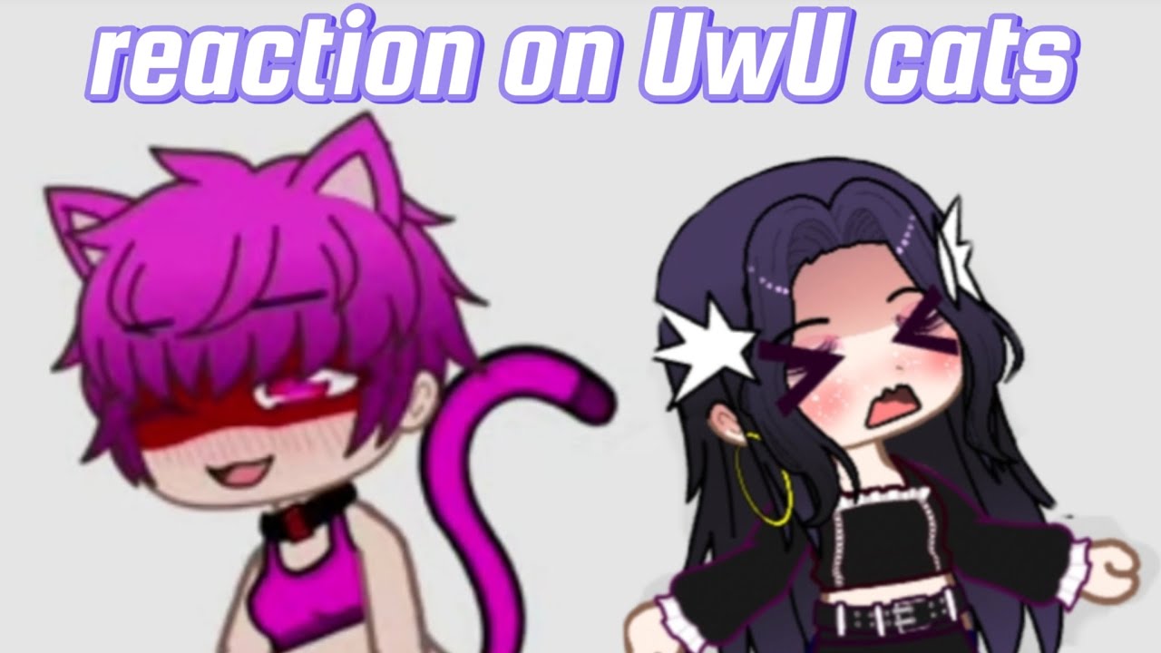 Reaction on UwU cats - YouTube