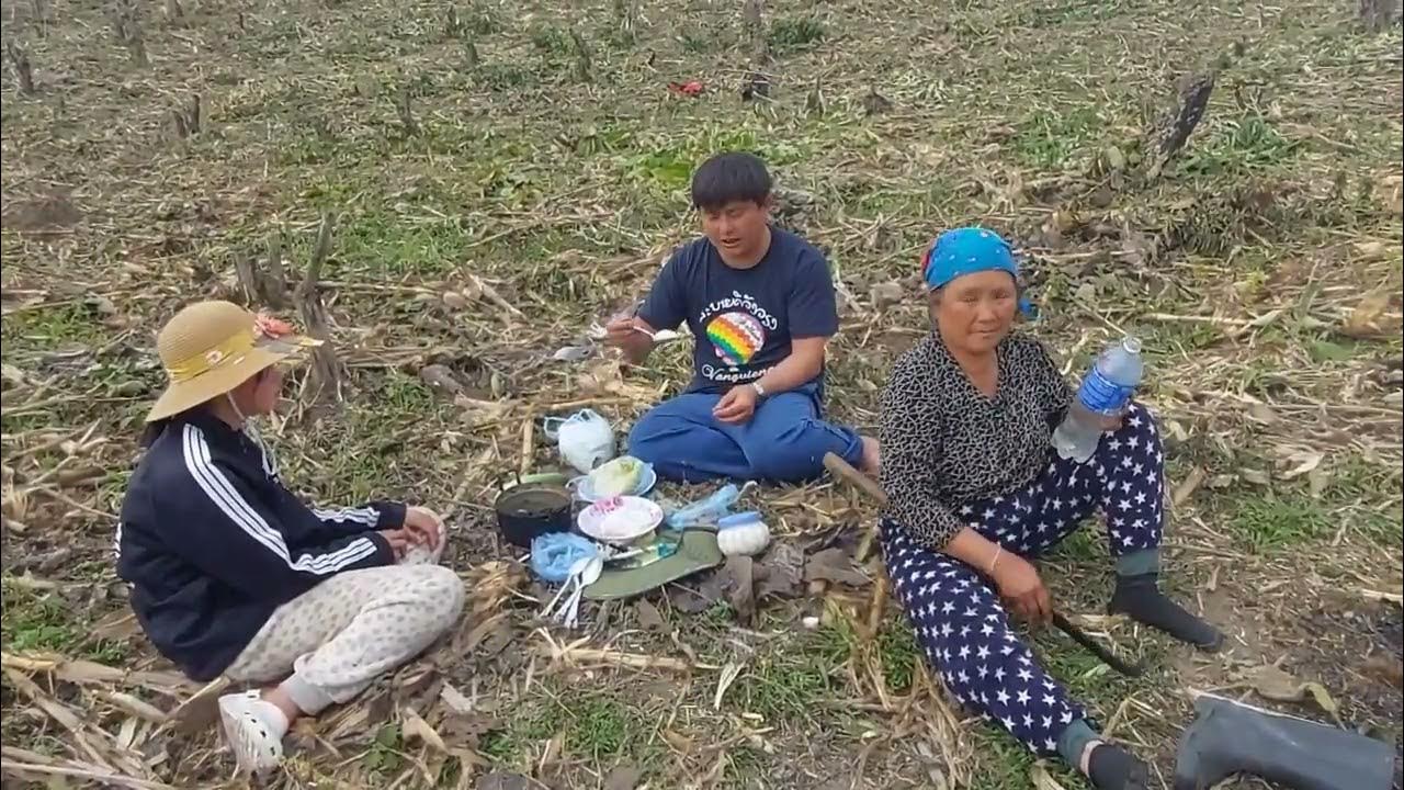 hnub no rov mus luaj quav kws seb tag li cas - YouTube