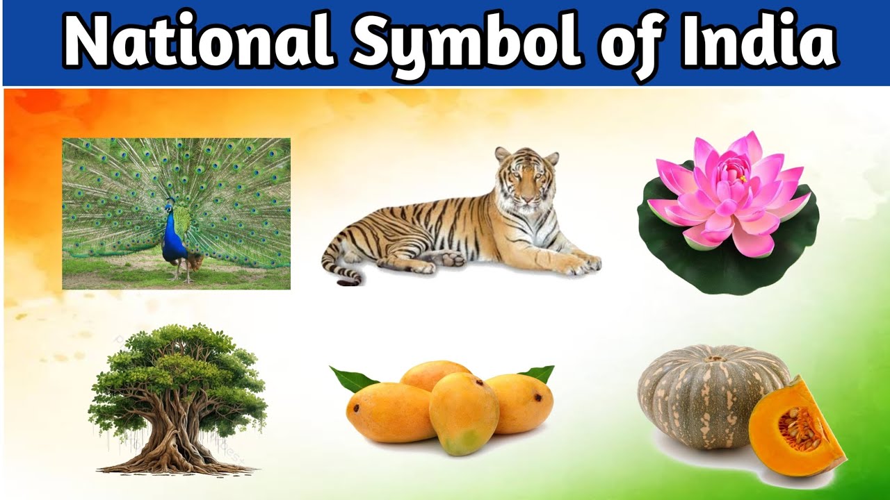 National Symbol of India | Indian National Symbol - YouTube