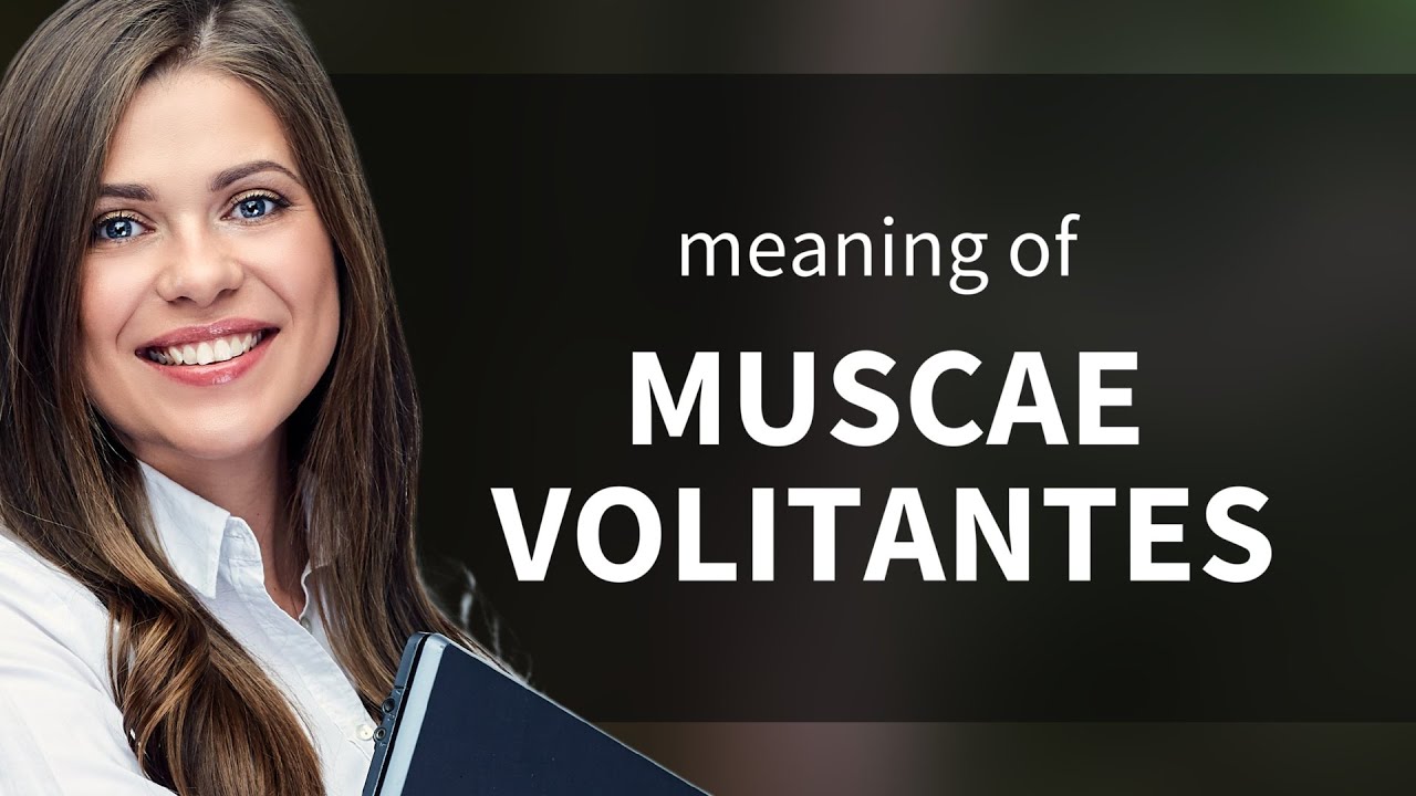 Muscae volitantes — meaning of MUSCAE VOLITANTES - YouTube