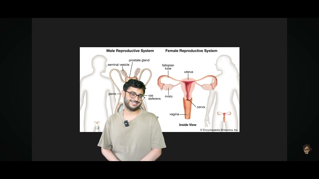 carryminati ne padhaya female reproduction 😄😂😂#carryminati - YouTube