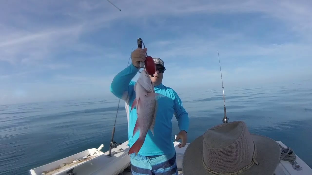 Sebastian, Florida saltwater fishing - YouTube