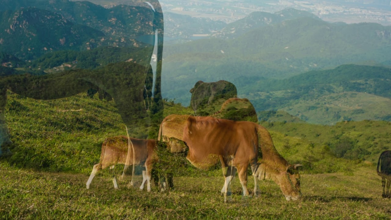 Damu Mountain, Fu Zhou, China - YouTube