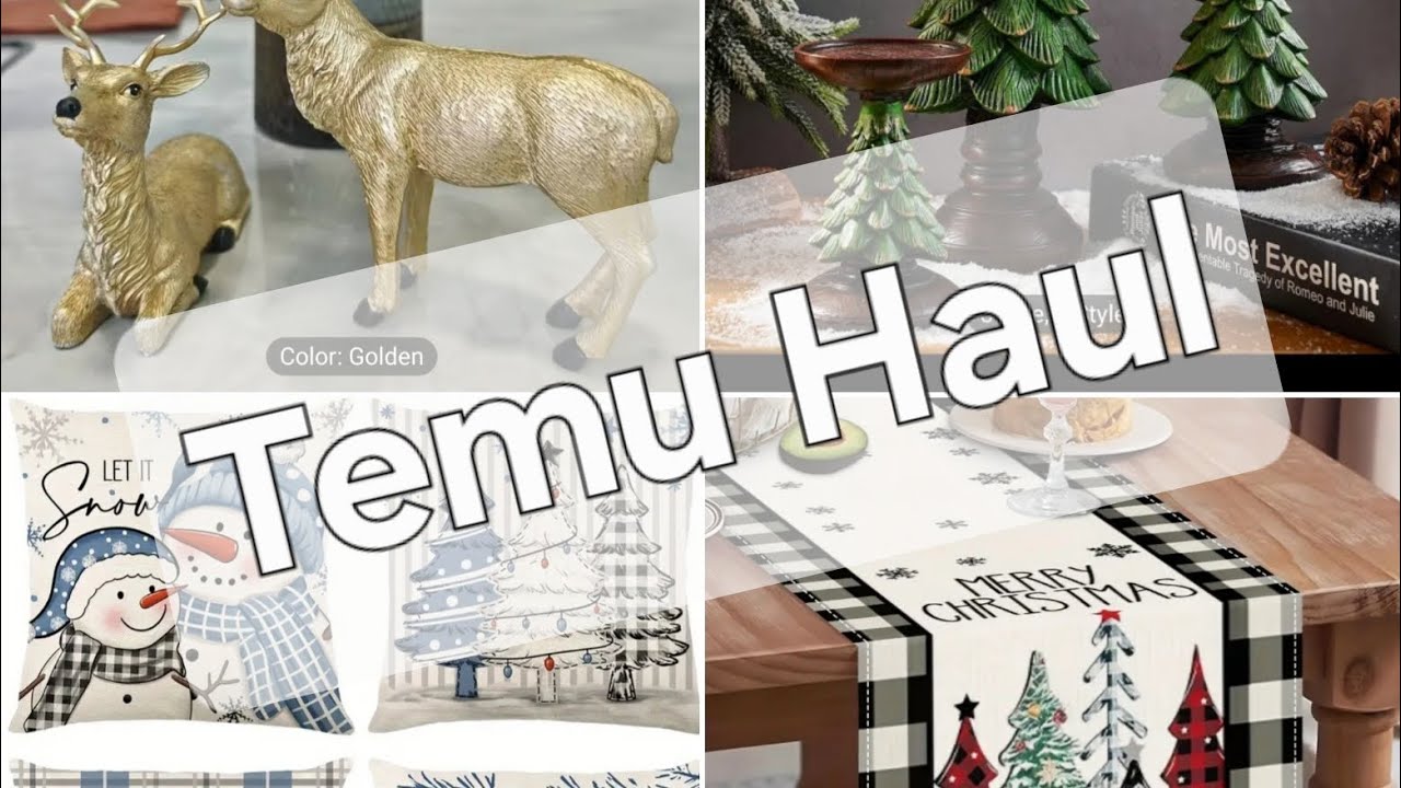 My Very First Temu haul!!! - YouTube