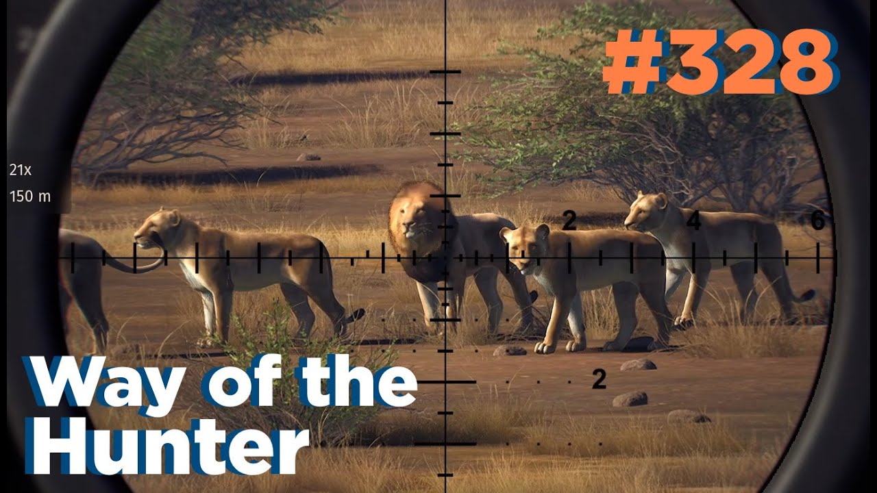 Zurück in die Wüste - Way of the Hunter #328 - YouTube