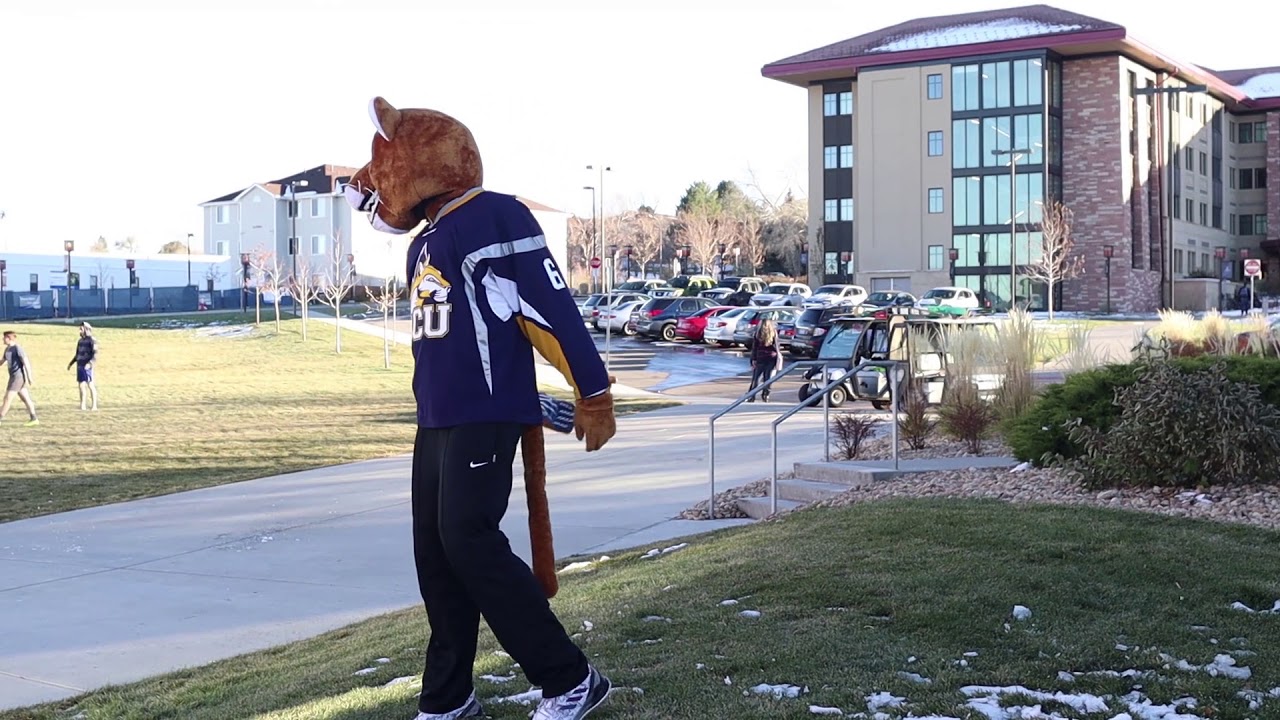 Cooper Cougar Audition Promo - YouTube