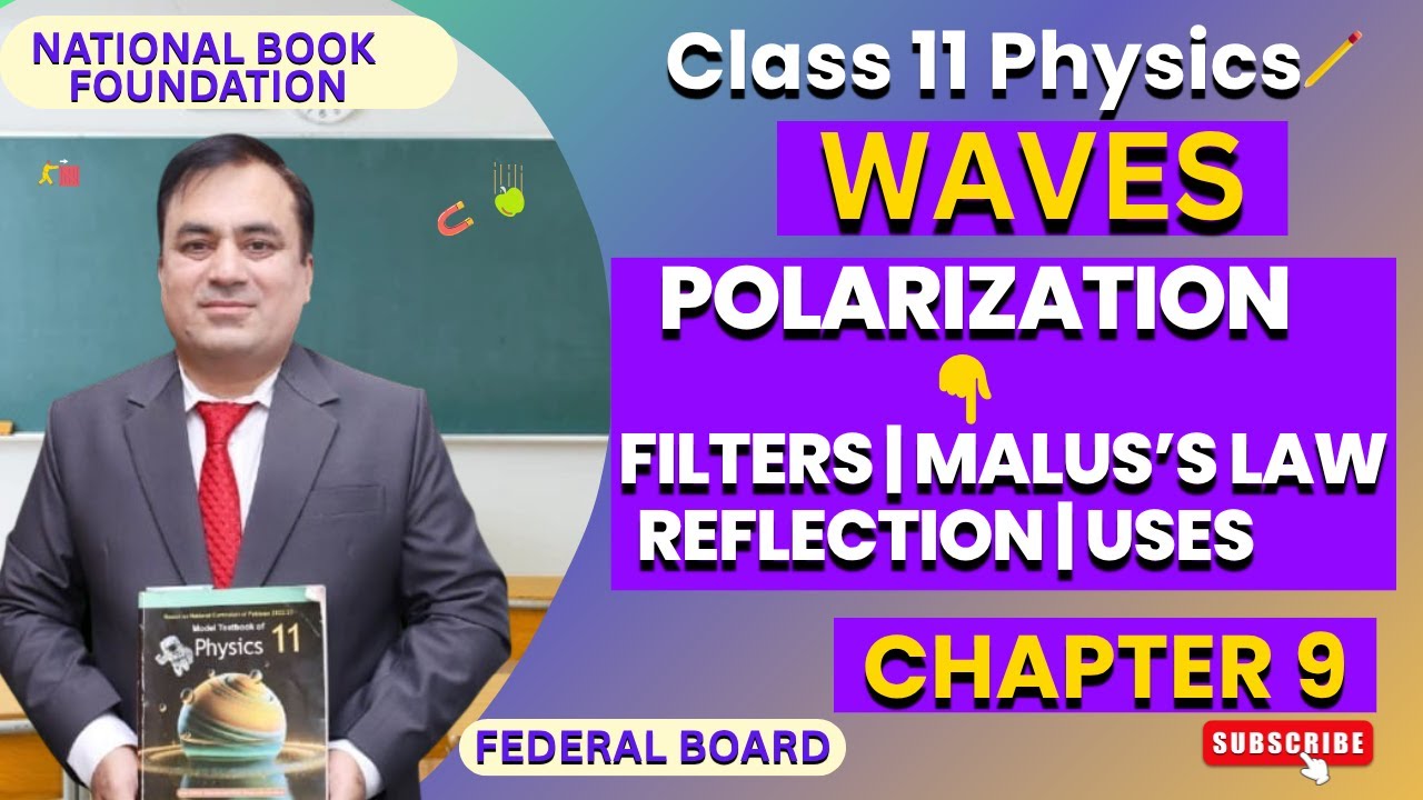 Understanding Polarization and Malus's Law | Physics 11 | Chapter 9 ...