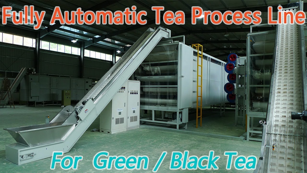 Fully Automatic Herbal Green Tea Processing Line With Gas Heating For ...