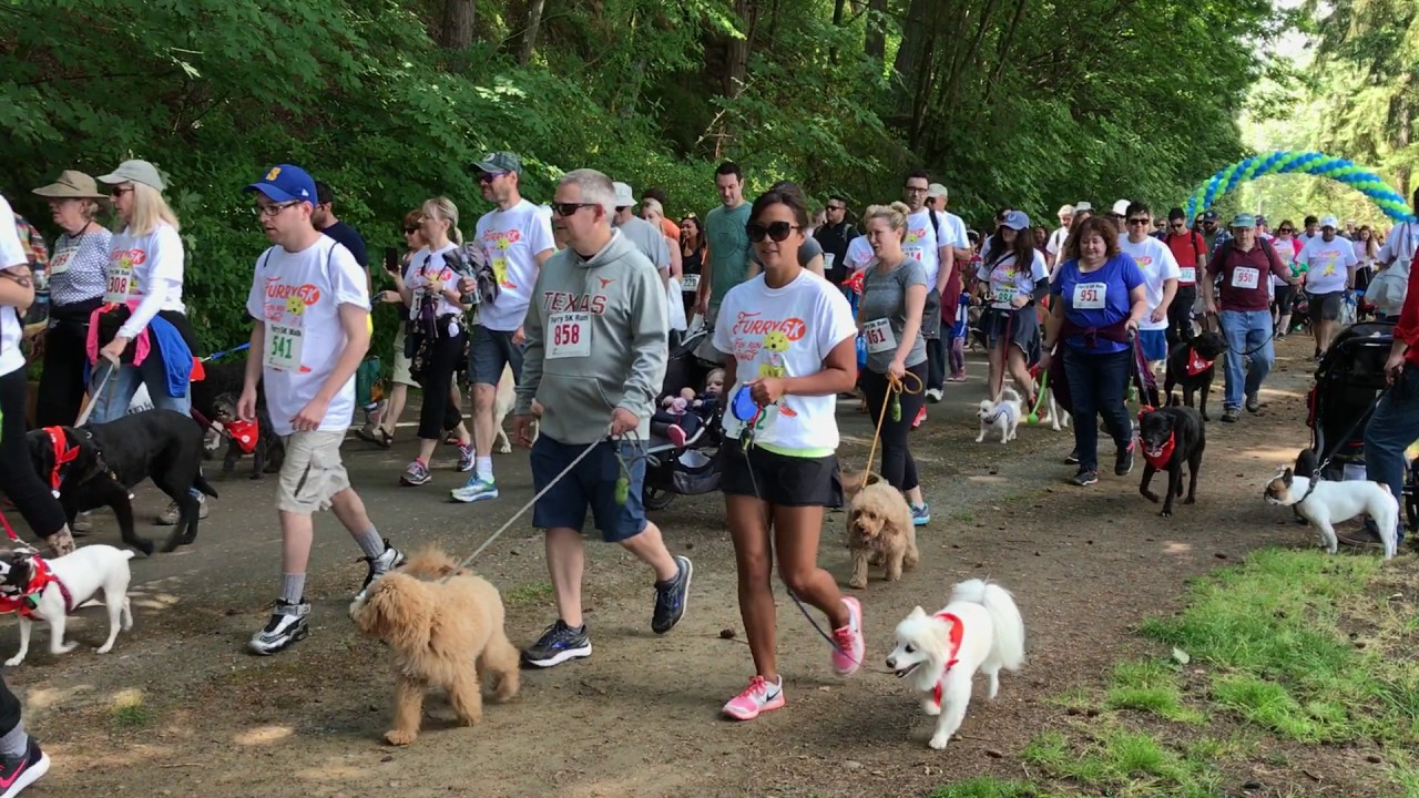 Furry 5K Start 2017 - YouTube