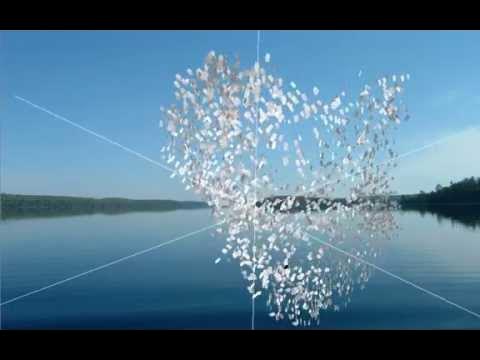 Flocking Simulation - YouTube