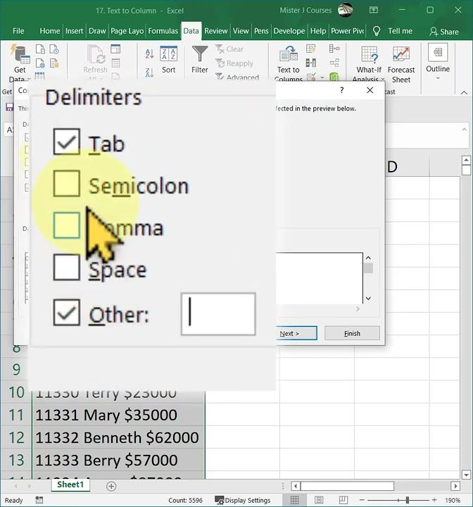 Text to Column in Excel - YouTube