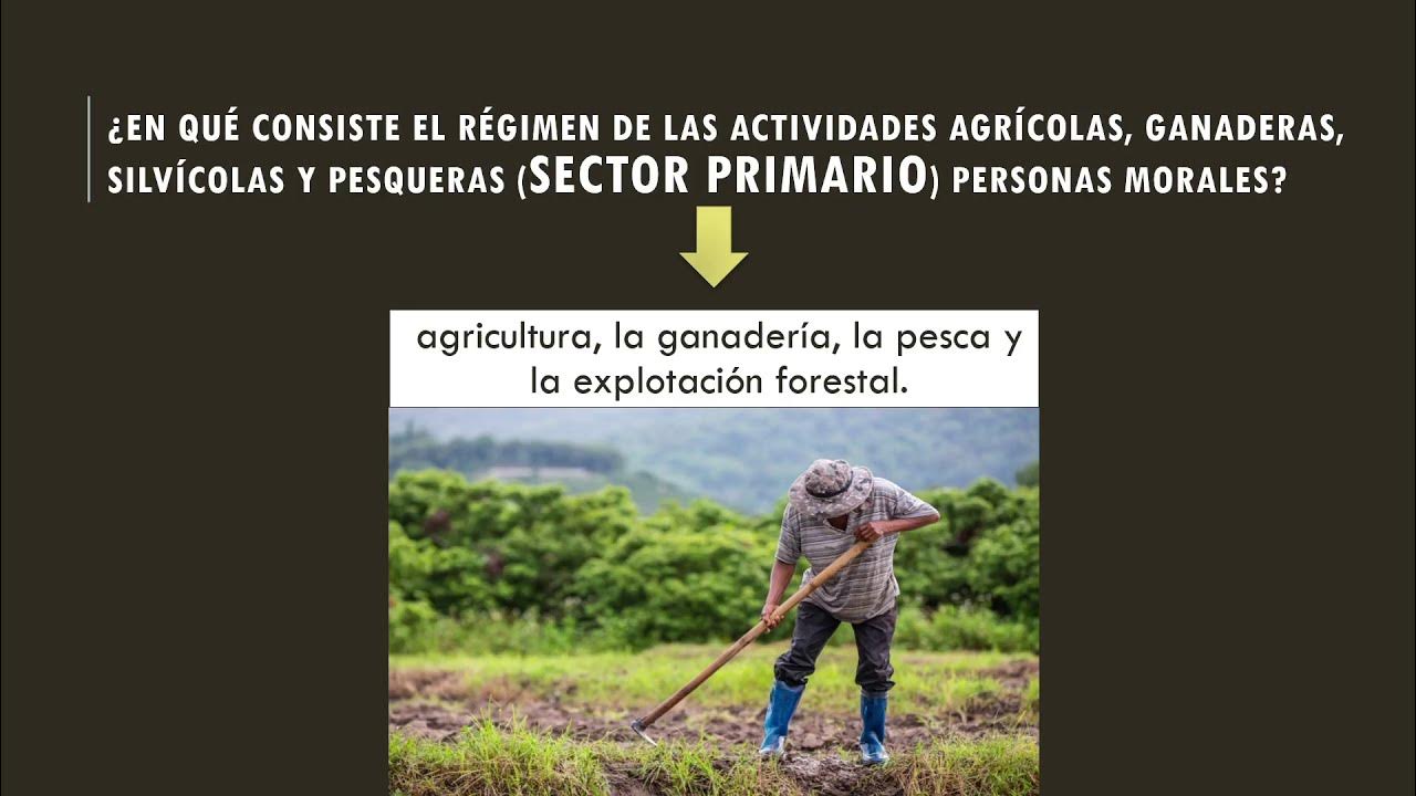 RÉGIMEN DE ACTIVIDADES AGRÍCOLAS, GANADERAS, SILVÍCOLAS Y PESQUERAS ...