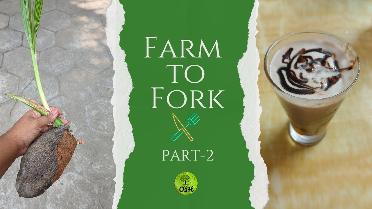 Thenga poo chocolate milk shake 🥥🤤 - YouTube