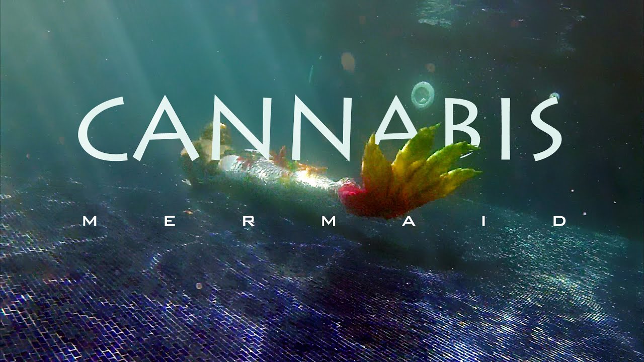 Playboy Model Swims in Cannabis Mermaid Tail - YouTube