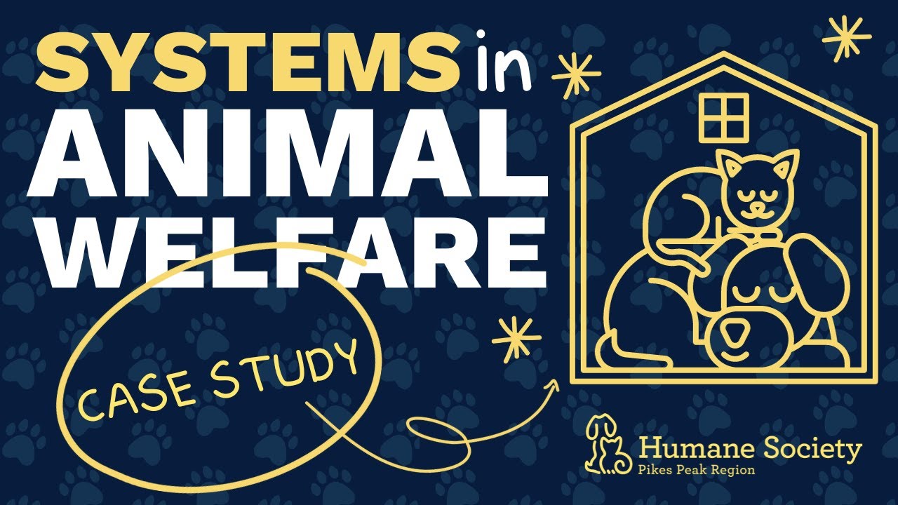 Animal Welfare Quality Assurance Case Study Example - YouTube