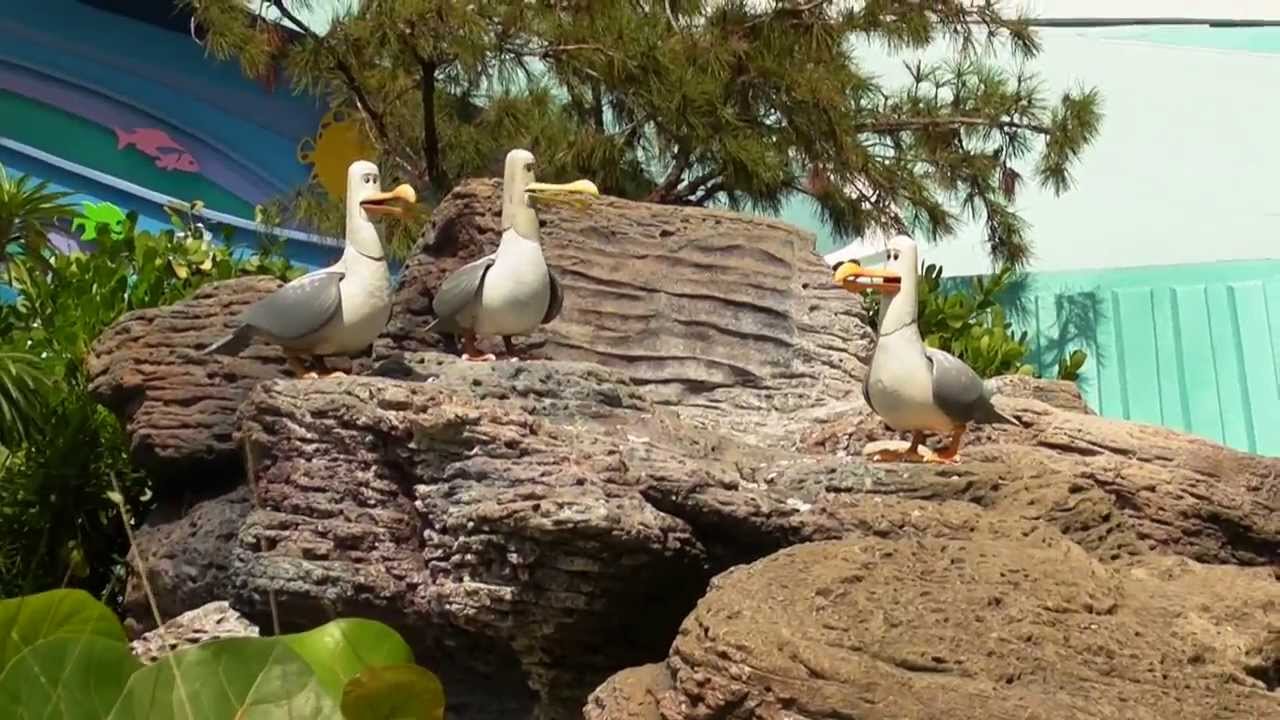 The Seas with Nemo & Friends at Disney's Epcot - Seagulls "Mine, Mine ...