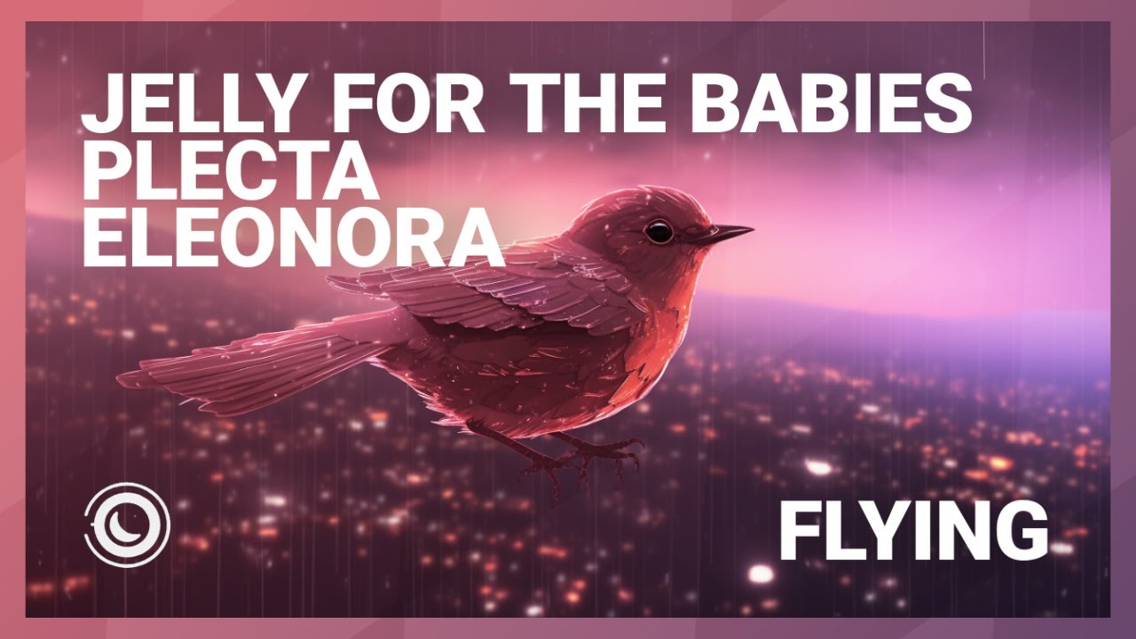 Jelly For The Babies, Plecta & Eleonora - Flying (Extended Mix) - YouTube