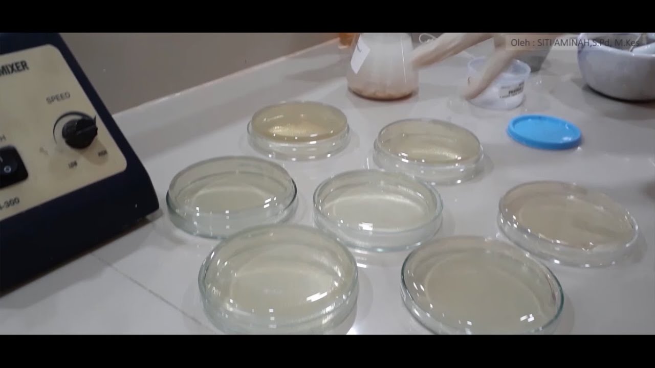 Uji Kualitas Makanan dan Minuman Metode TPC - YouTube