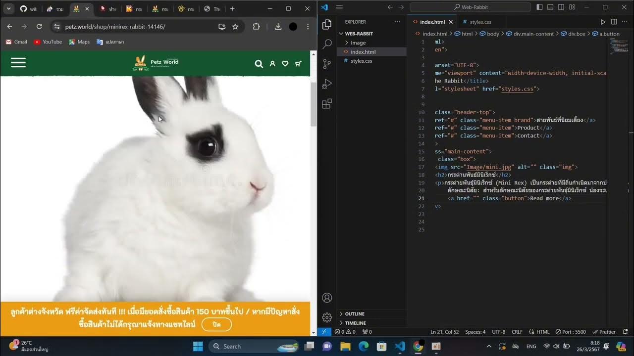 HTML&CSS The Rabbit(สายพันธุ์ที่นิยมเลี้ยง) - YouTube