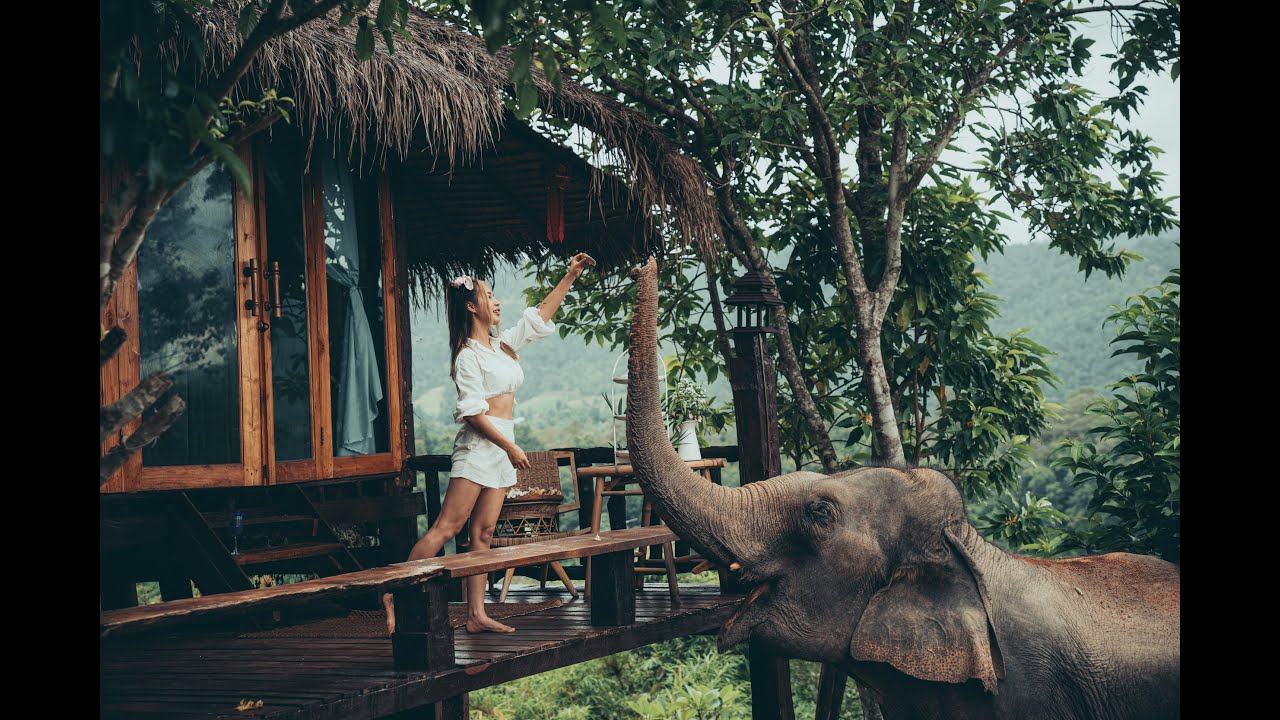 Chai Lai Orchid Eco-Resort, Chiang Mai Teaser Video V1 | เนื้อหาล่าสุด ...