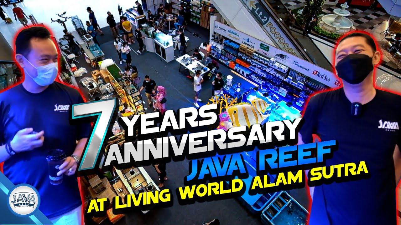 7 YEARS ANNIVERSARY JAVA REEF | PAMERAN DI LIVING WORLD ALAM SUTRA ...