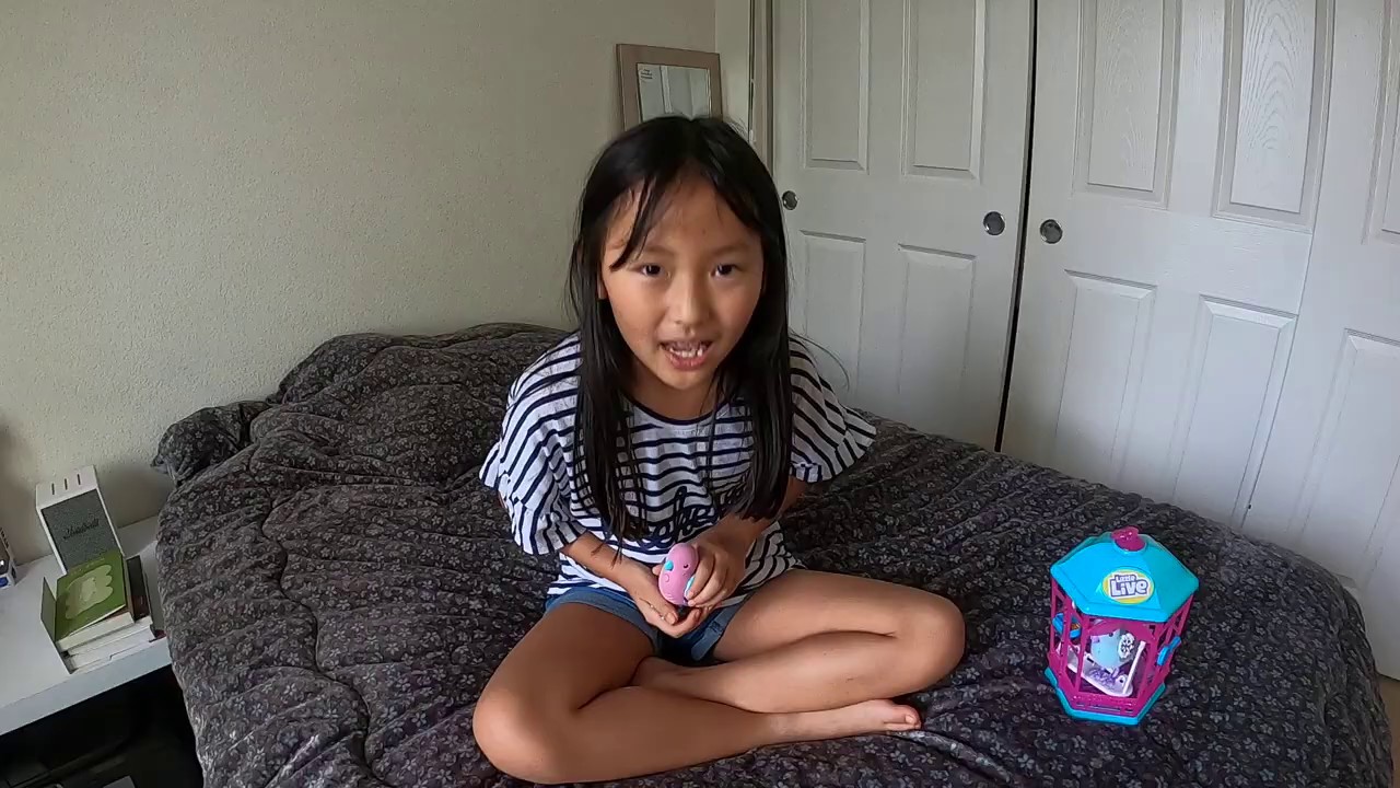 Lina’s Toy || Little live pets 하린이 장난감 - YouTube