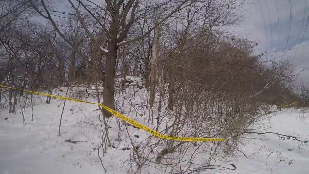 Crime scene near where Toronto serial killer buried victims in planters ...