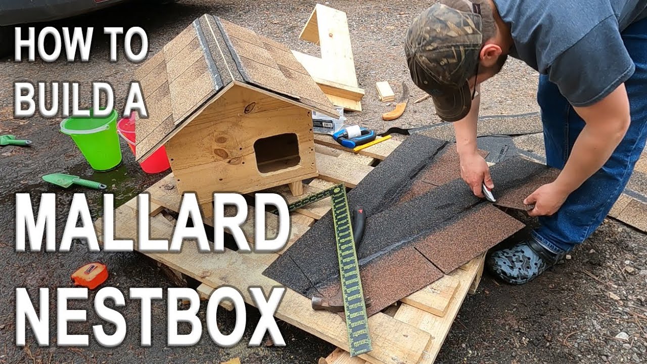 Making a Mallard Nestbox - YouTube