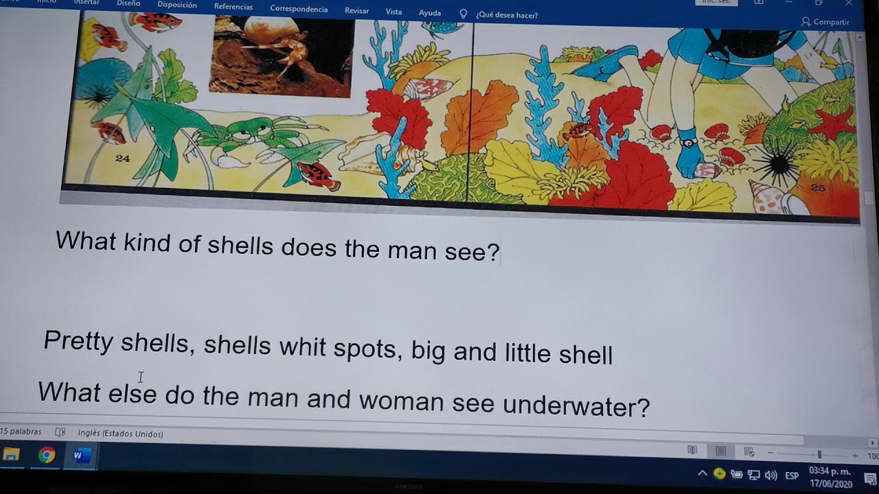 Looking for shells-reading comprehension -LECTURA DE COMPRENSION - YouTube