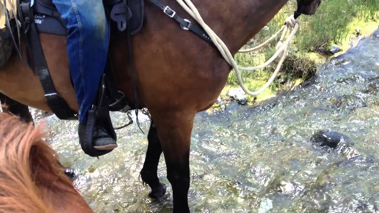 Sacking Out a Horse to a Stream, Water & Slippery Rocks - Rick Gore ...