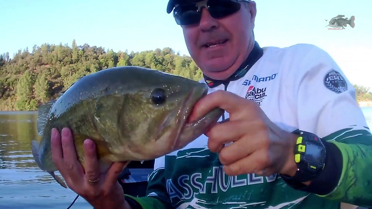 PESCA EN SIERRA MORENA II - YouTube