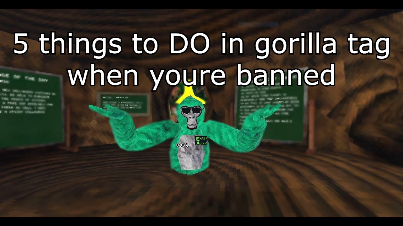 5 More Things To Do In Gorilla Tag When Ur Banned YouTube 5-more-things-to-do-in-gorilla-tag-when-ur-banned-youtube