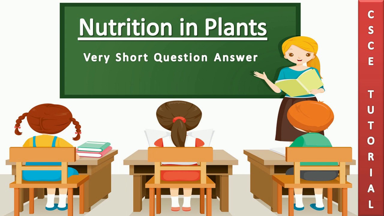 Nutrition In Plants Class 7 Important Questions Class 7 Nutrition In nutrition-in-plants-class-7-important-questions-class-7-nutrition-in