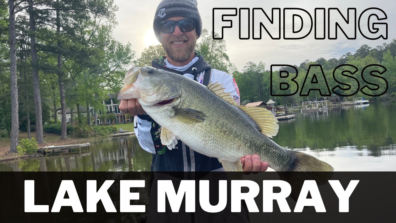 SPAWN on Lake Murray - Stage 3 BPT - FINDING BASS - YouTube