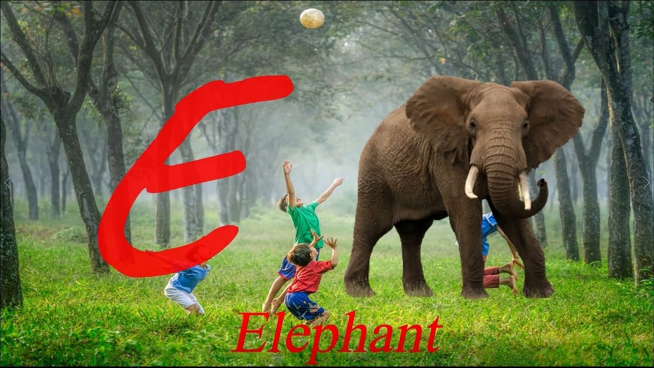 A B C Songs | Alphabet Songs | Alphabets | Alpha Songs | Songs for Kids ...