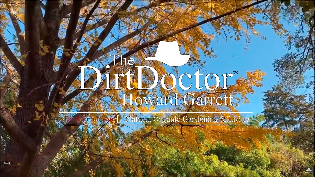 2026 01 21 DirtDoctor Howard Garrett Podcast - YouTube