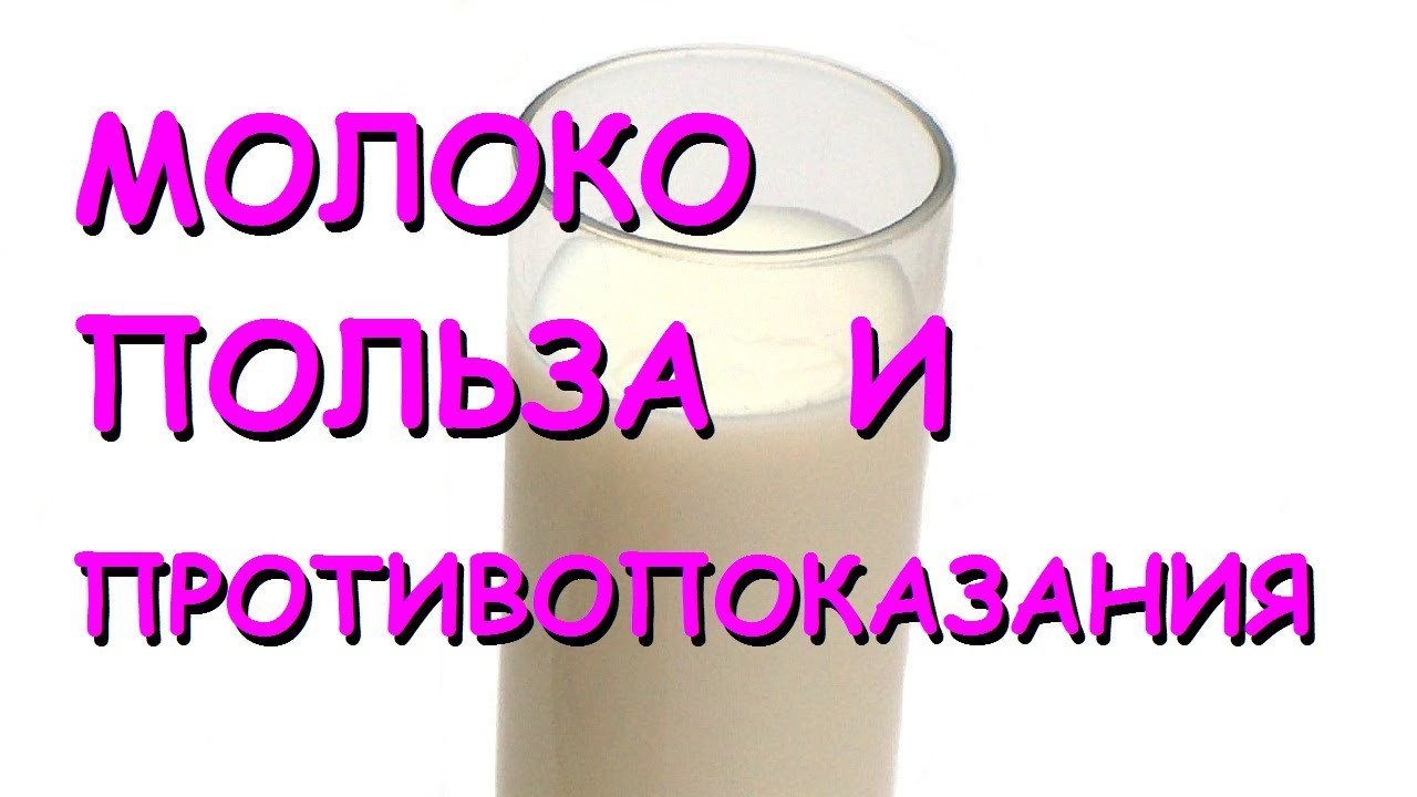 Молоко. Польза и вред. - YouTube