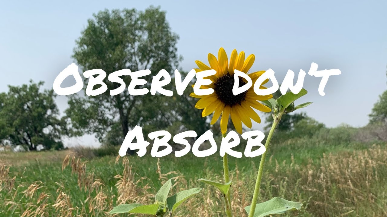 Observe don’t Absorb - YouTube