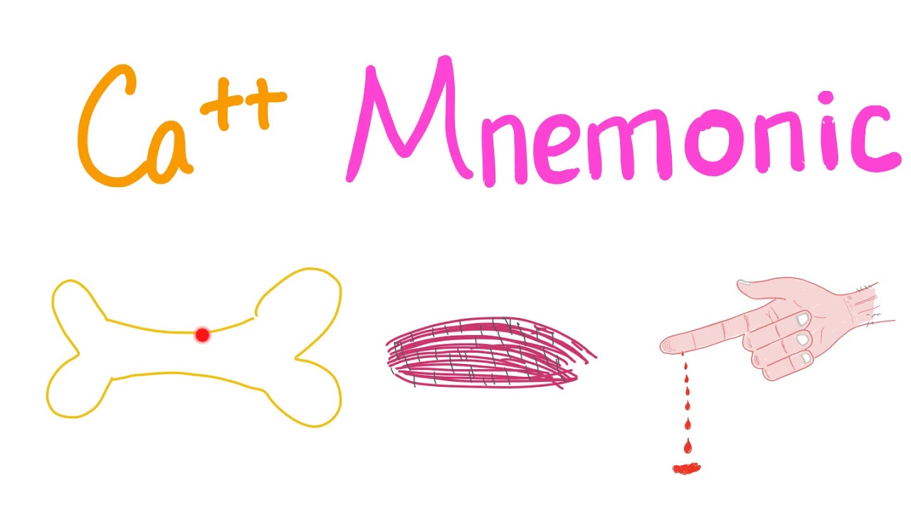 Calcium - A vital Electrolyte - Quick Review + Mnemonics - YouTube