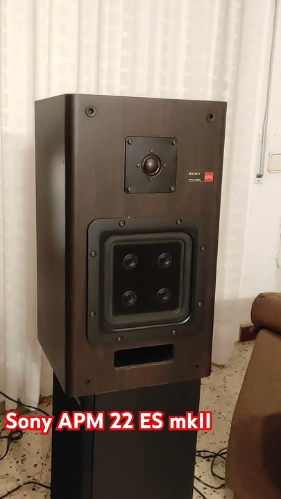 Vintage Speakers SONY APM 22 ES. 1984 - YouTube