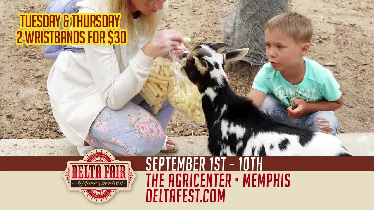 2023 Delta Fair - YouTube