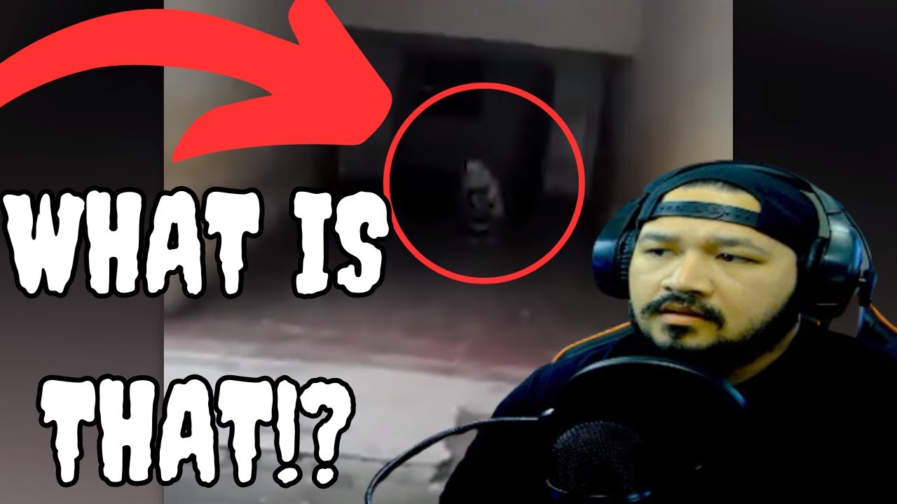 SCARY VIDEO REACTIONS PART 8!! - YouTube