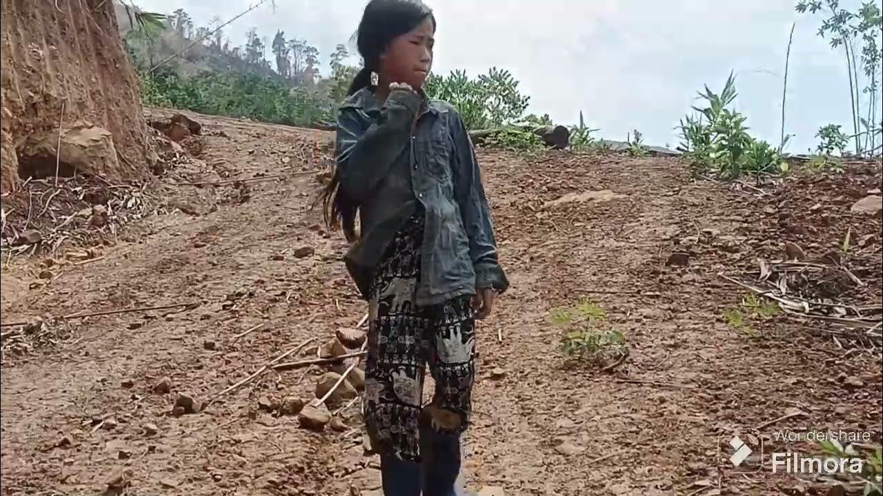 nrog wb mu saib nyuj nawb. 2024 - YouTube